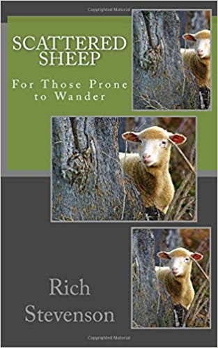 This Is Why I Wrote “Scattered Sheep”: Falling Doesn’t Have to End In ...